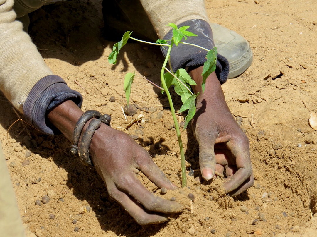 NEC launches Africa startup program with Shell Foundation | IBTimes JP