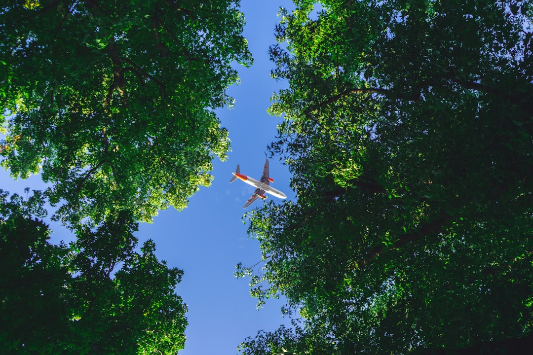 Kurita joins ICAO CORSIA pilot for wastewater-based SAF feedstock ...